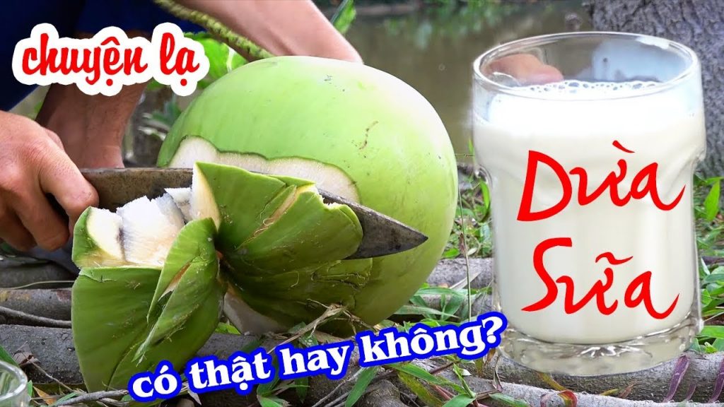 mua-dua-sua-voi-gia-bao-nhieu - Đại Lý Mua Bán Dừa Sáp Cầu Kè Trà Vinh